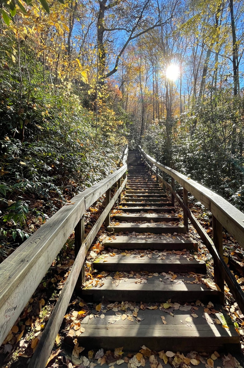 Sunshine Stairway to Waterfall Fall Leaves Mountains - Etsy