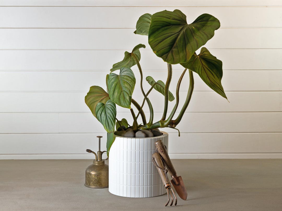 Vertical Block Planter - Indoor Pot - Self-watering Planter - Fits 6 ...