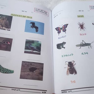 Amharic Language Learning Alphabet, Fidel ፊደል, Amharic Letters ...