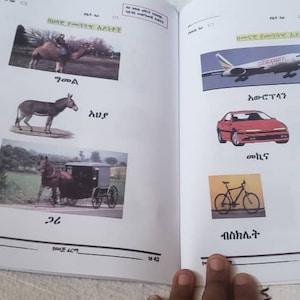 Amharic Language Learning Alphabet, Fidel ፊደል, Amharic Letters ...