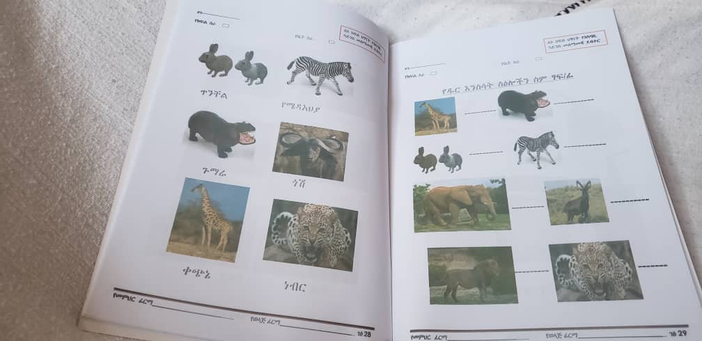 Amharic Language Learning Alphabet, Fidel ፊደል, Amharic Letters ...