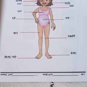 Amharic Language Learning Alphabet, Fidel ፊደል, Amharic Letters ...