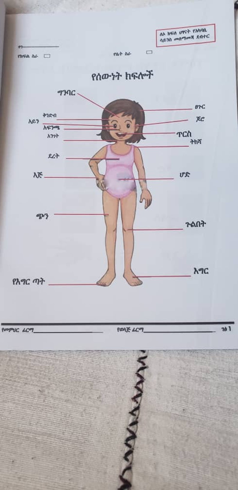 Amharic Language Learning Alphabet, Fidel ፊደል, Amharic Letters ...