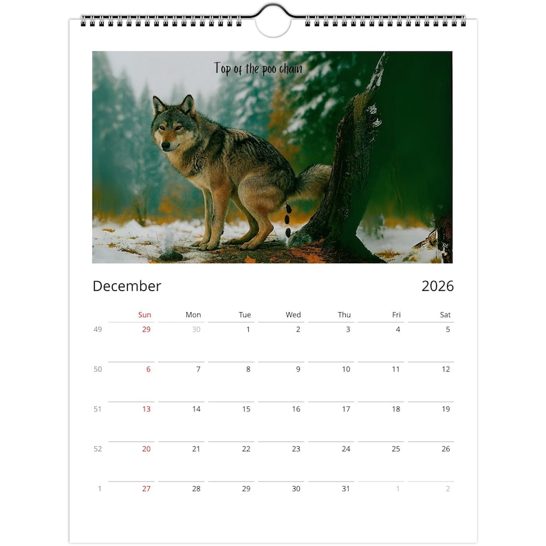 Nature Calls 2026 Calendar — Animals Pooping in the Wild | Viral Animal ...