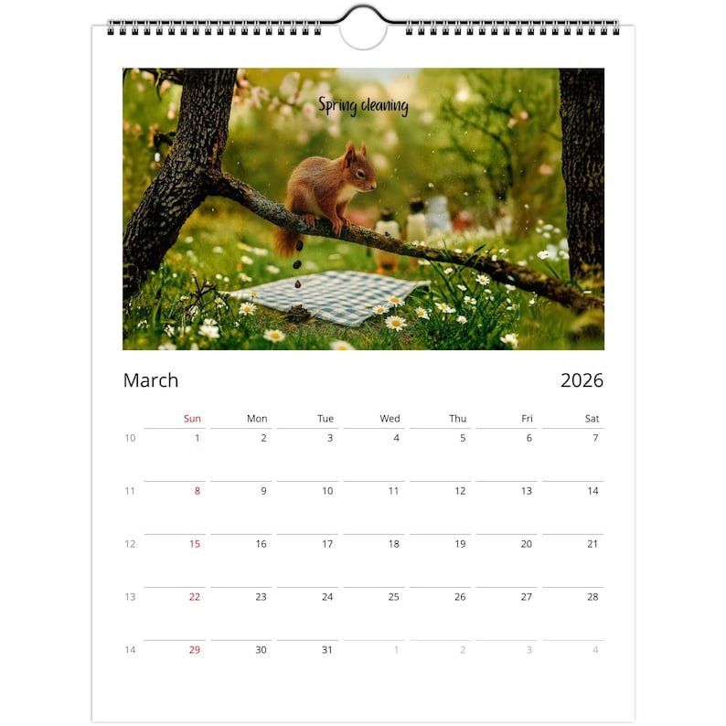 Nature Calls 2026 Calendar — Animals Pooping in the Wild | Viral Animal ...