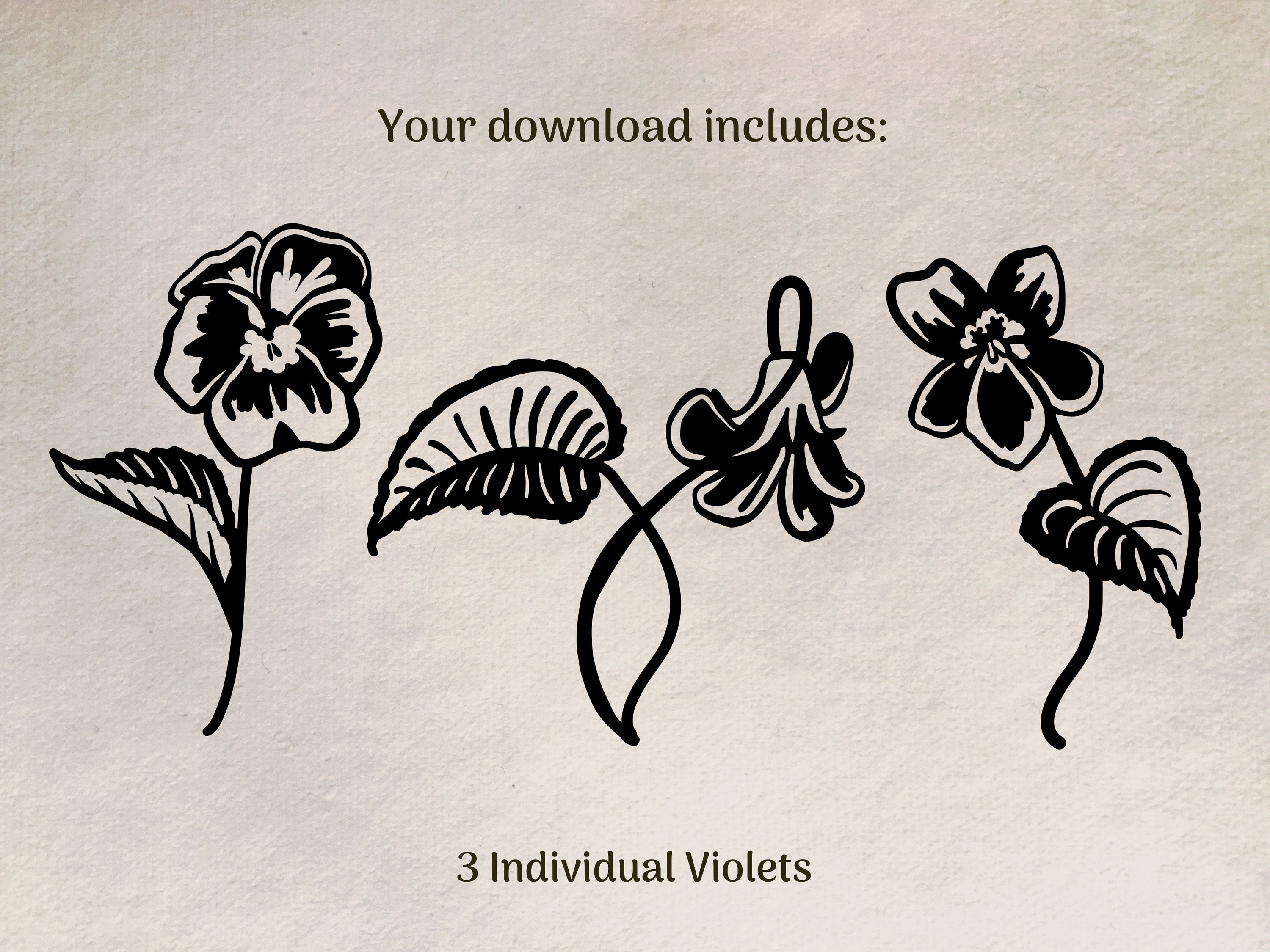 February Birth Month Flower SVG, Hand Drawn Violet Bouquet Clip Art - Etsy