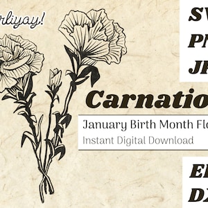 January Birth Month Flower SVG, Hand Drawn Carnation Bouquet Clip Art ...