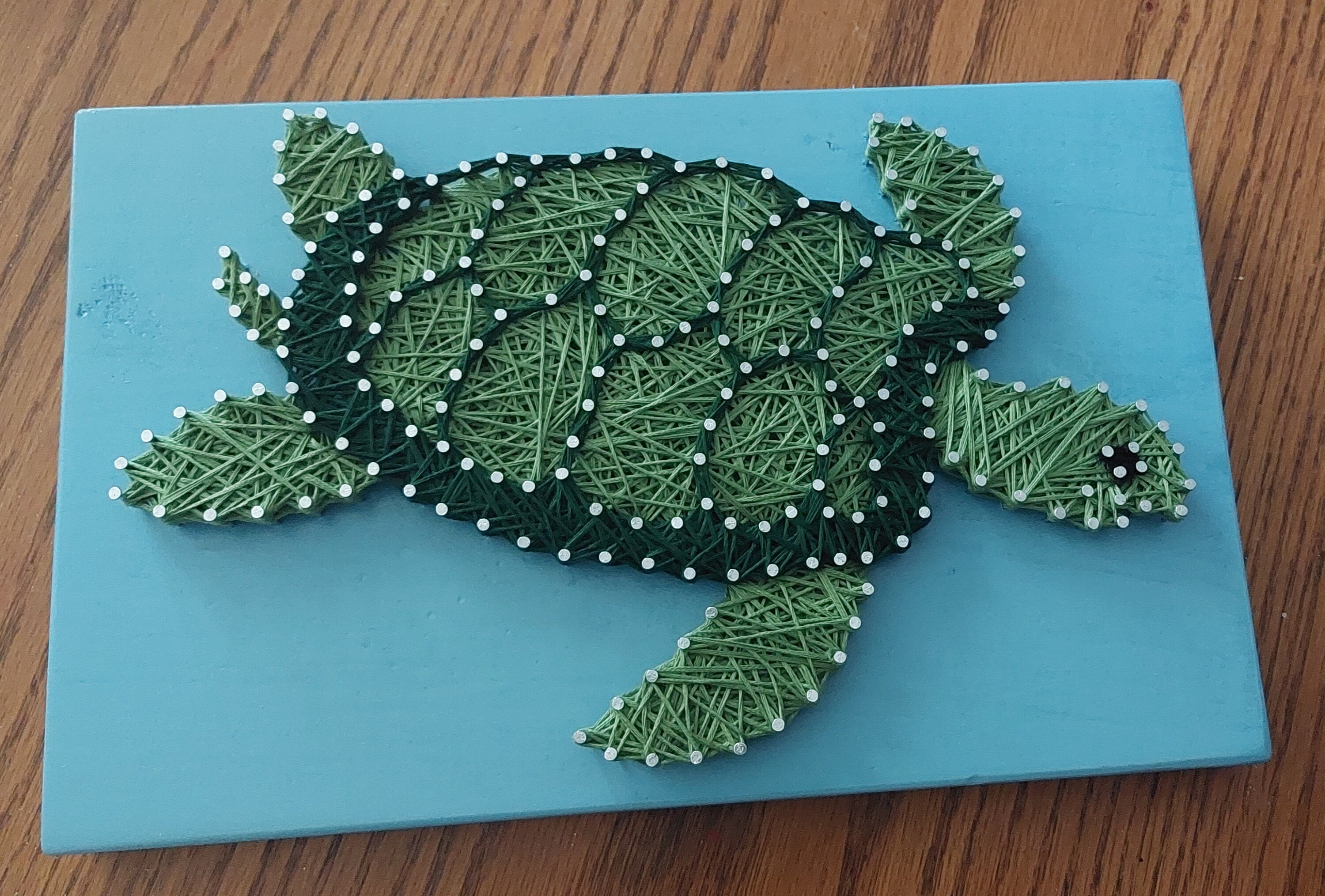 Sea Turtle String Art - Etsy