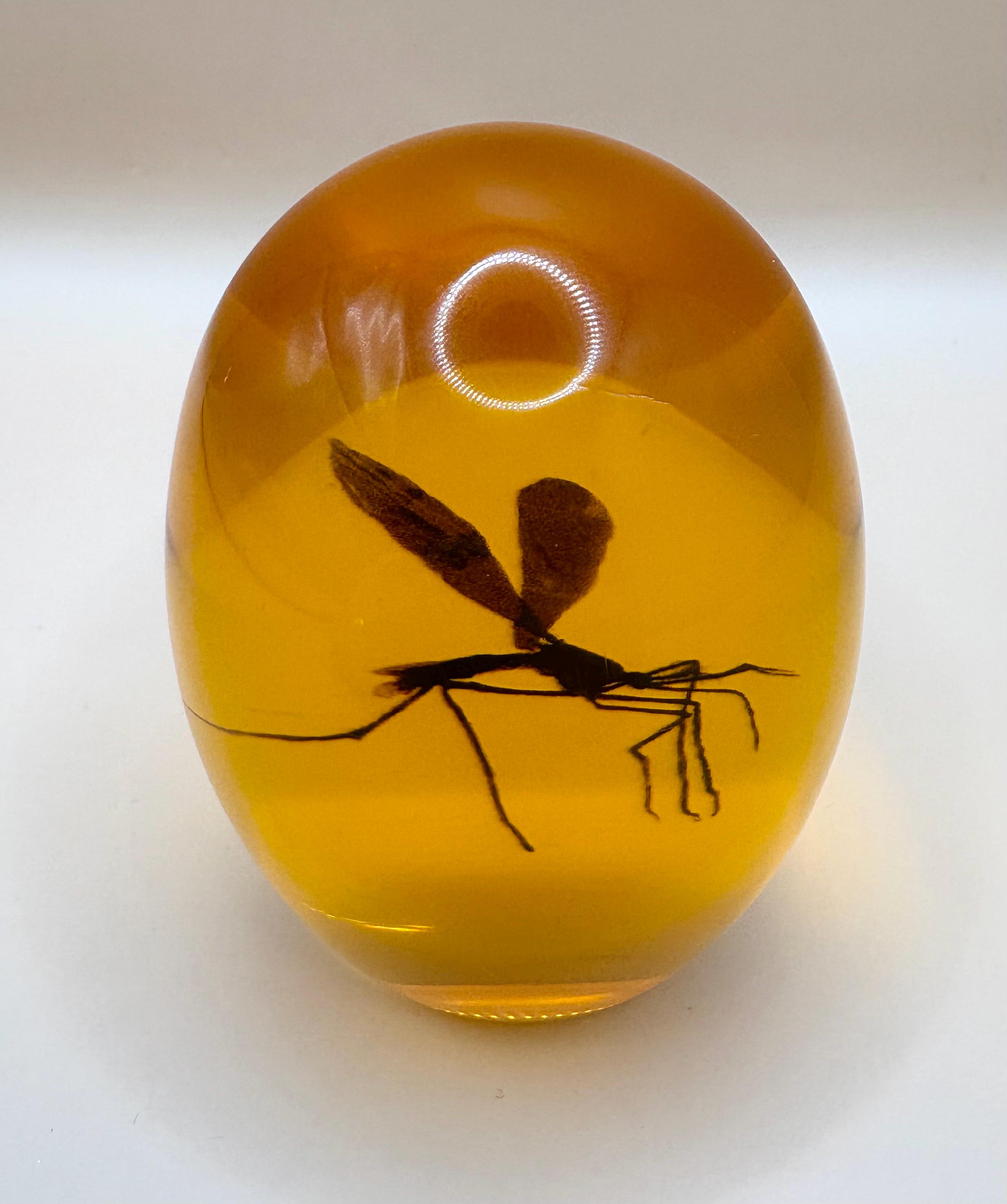 Mosquito in Amber Inspired Movie Prop / Paperweight - Etsy