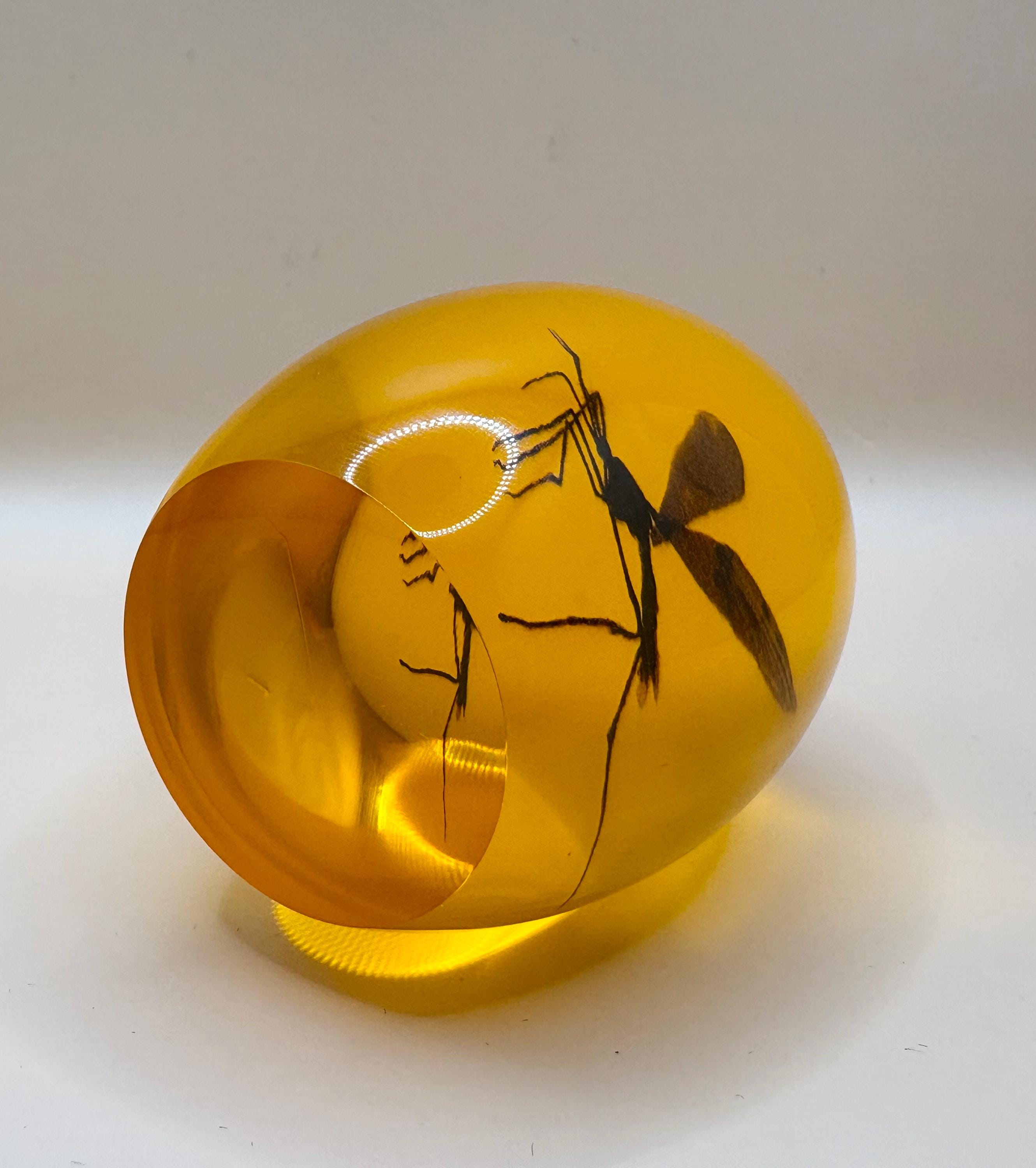 Mosquito in Amber Inspired Movie Prop / Paperweight - Etsy