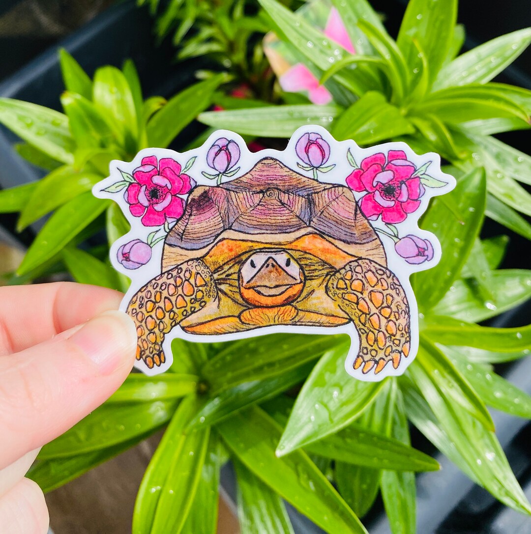 Tortoise Sticker - Etsy