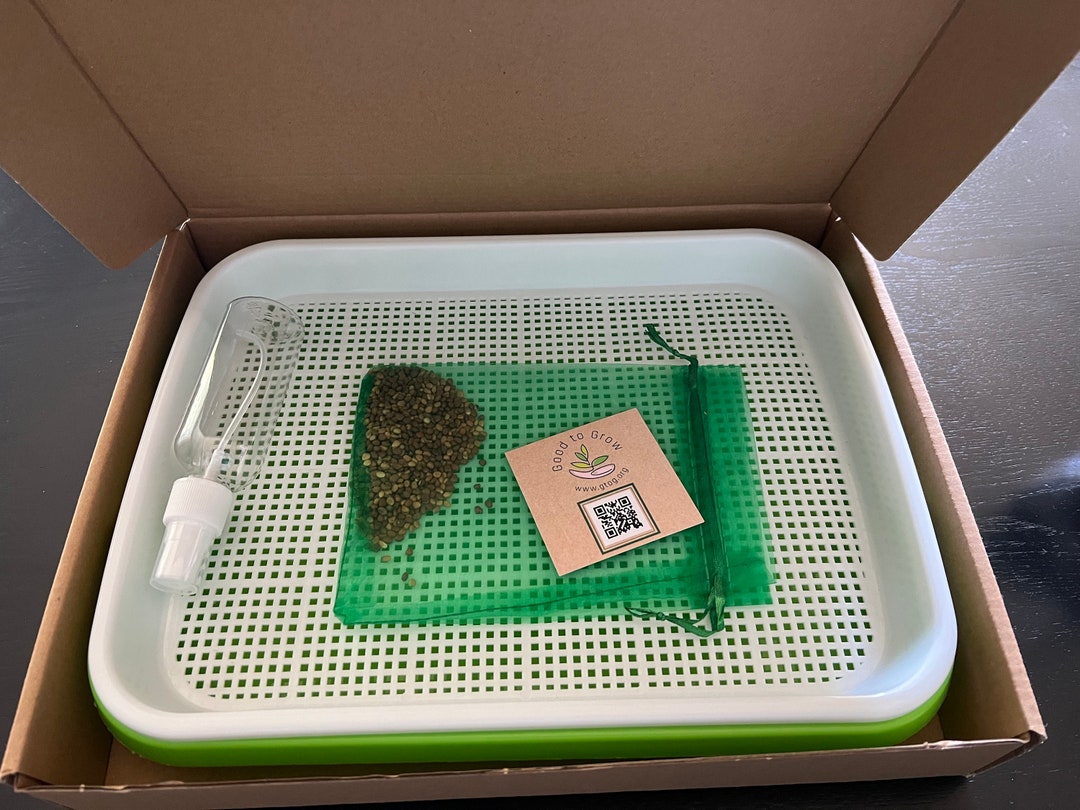 DIY Microgreen Grow Kit - Etsy