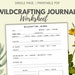 Foraging Journal Worksheet Printable for Apothecaries - Etsy