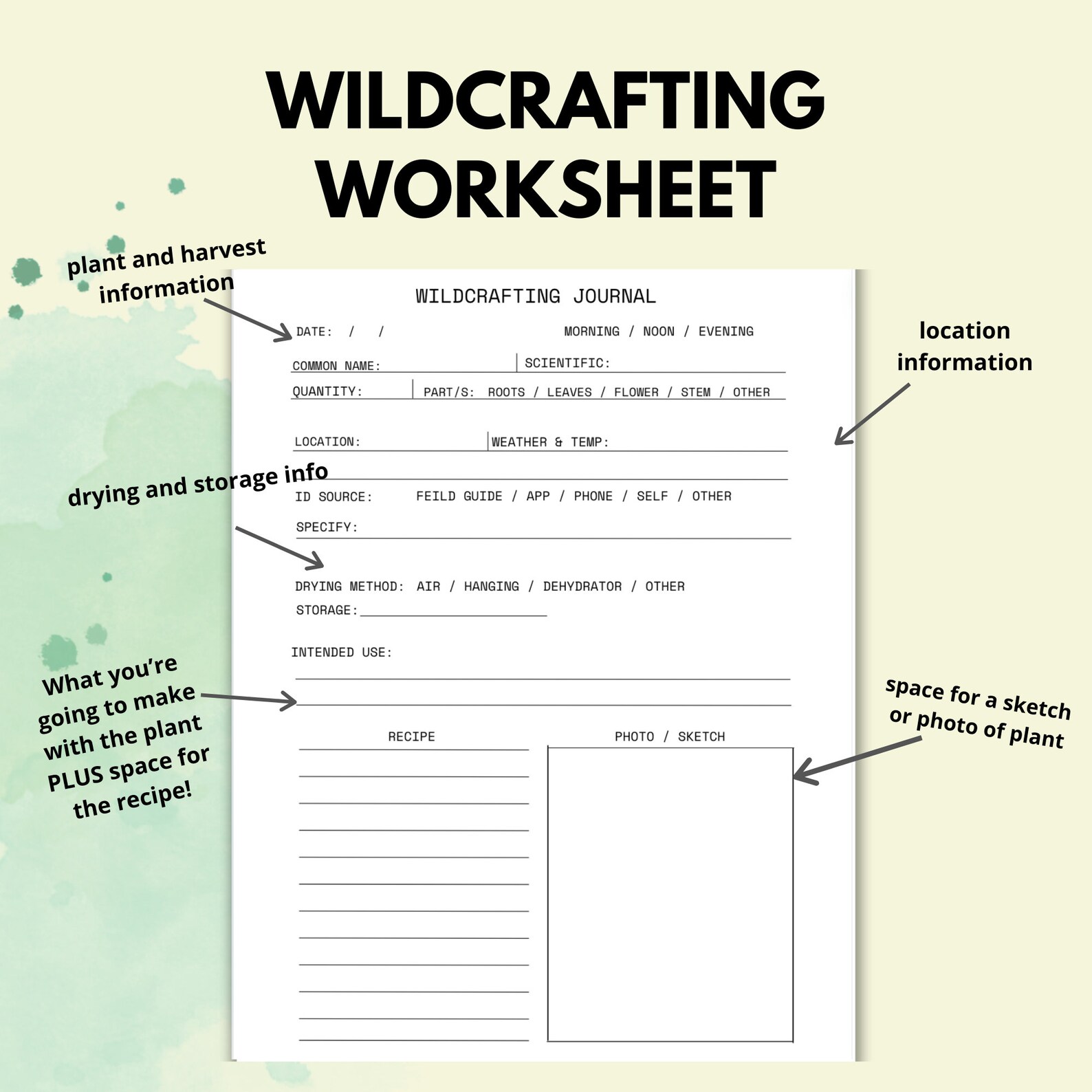 Foraging Journal Worksheet Printable for Apothecaries - Etsy