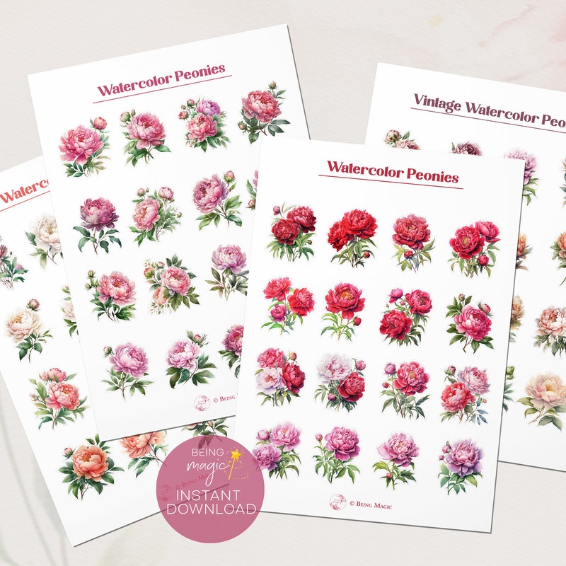 Peony Sticker - Etsy