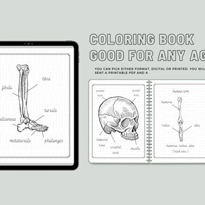Human Anatomy Coloring Book | Printable or Digital | 24 Pages - Etsy
