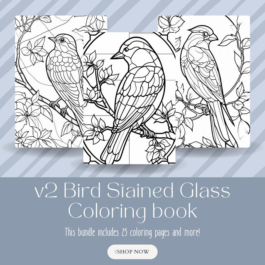 Stained Glass Birds Coloring Book Version 2 Printable or Digital 25 ...
