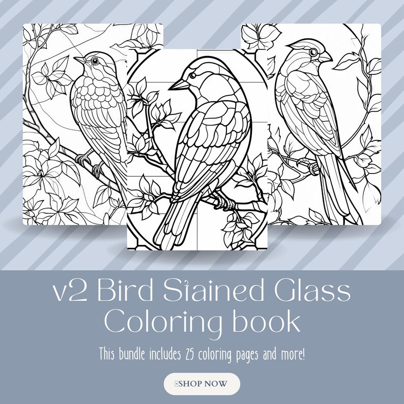 Stained Glass Birds Coloring Book Version 2 Printable or Digital 25 ...