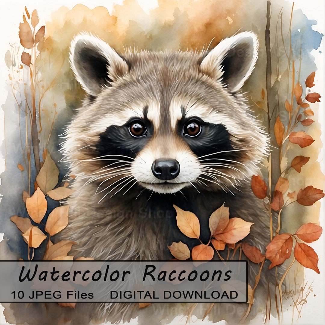 Watercolor Raccoons, 10 JPEG Bundle, Digital Scrapbook Junk Journal ...