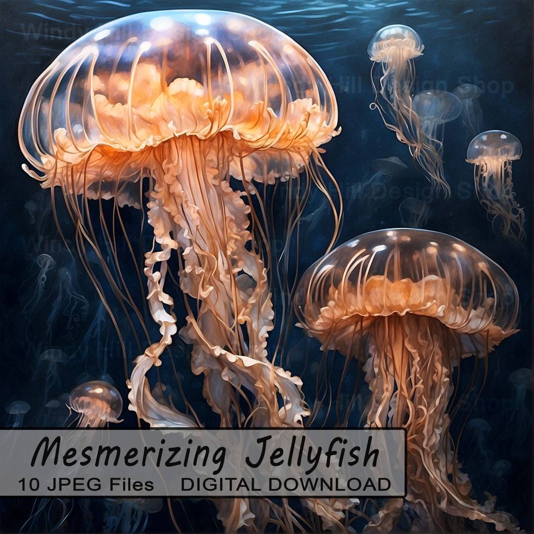 Mesmerizing Jellyfish, 10 JPEG Bundle Digital Scrapbook Junk Journal ...