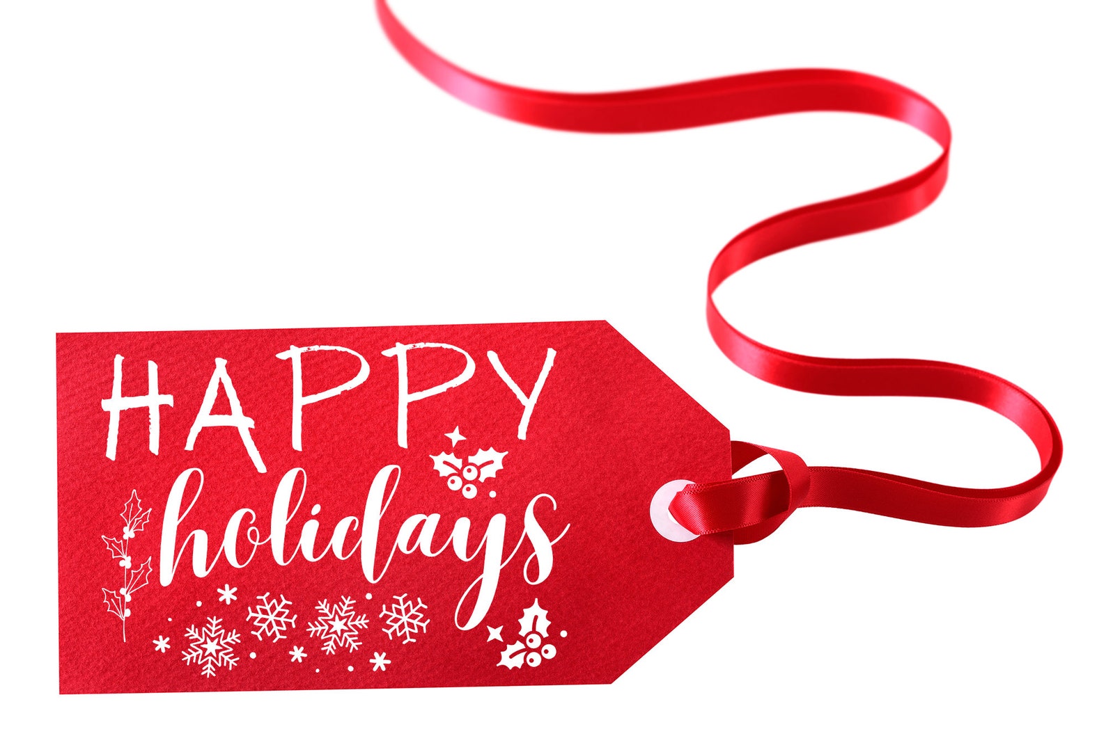 12 Christmas Gift Tag SVG Bundle Printable Funny Holiday - Etsy