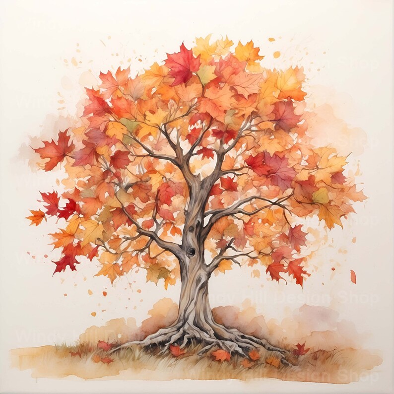 Magnificent Maple Trees 10 JPEG Bundle Digital Scrapbook - Etsy