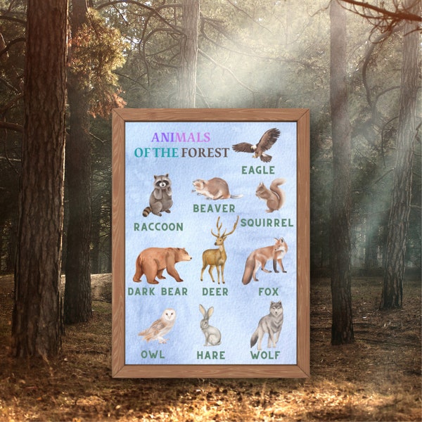 Didactic Cards - Etsy