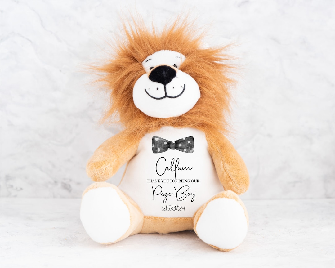 Page Boy Gift,page Boy Gift,will You Be My Page Boy?,flower Girl Teddy ...