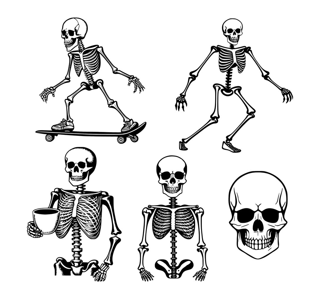 Skeleton Svgs Bundle, Digital Download - Etsy