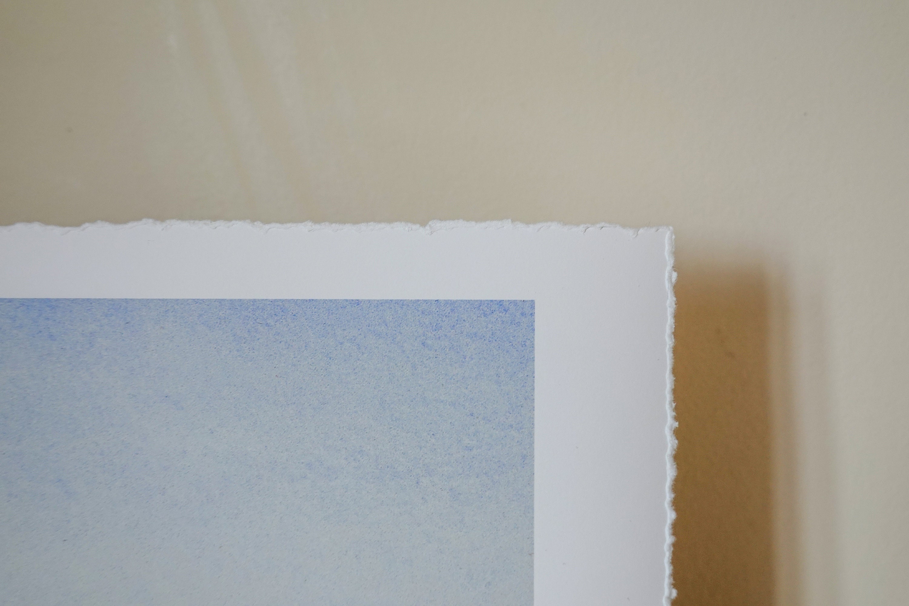 Beluga Whale Limited Edition Giclee Print - Etsy
