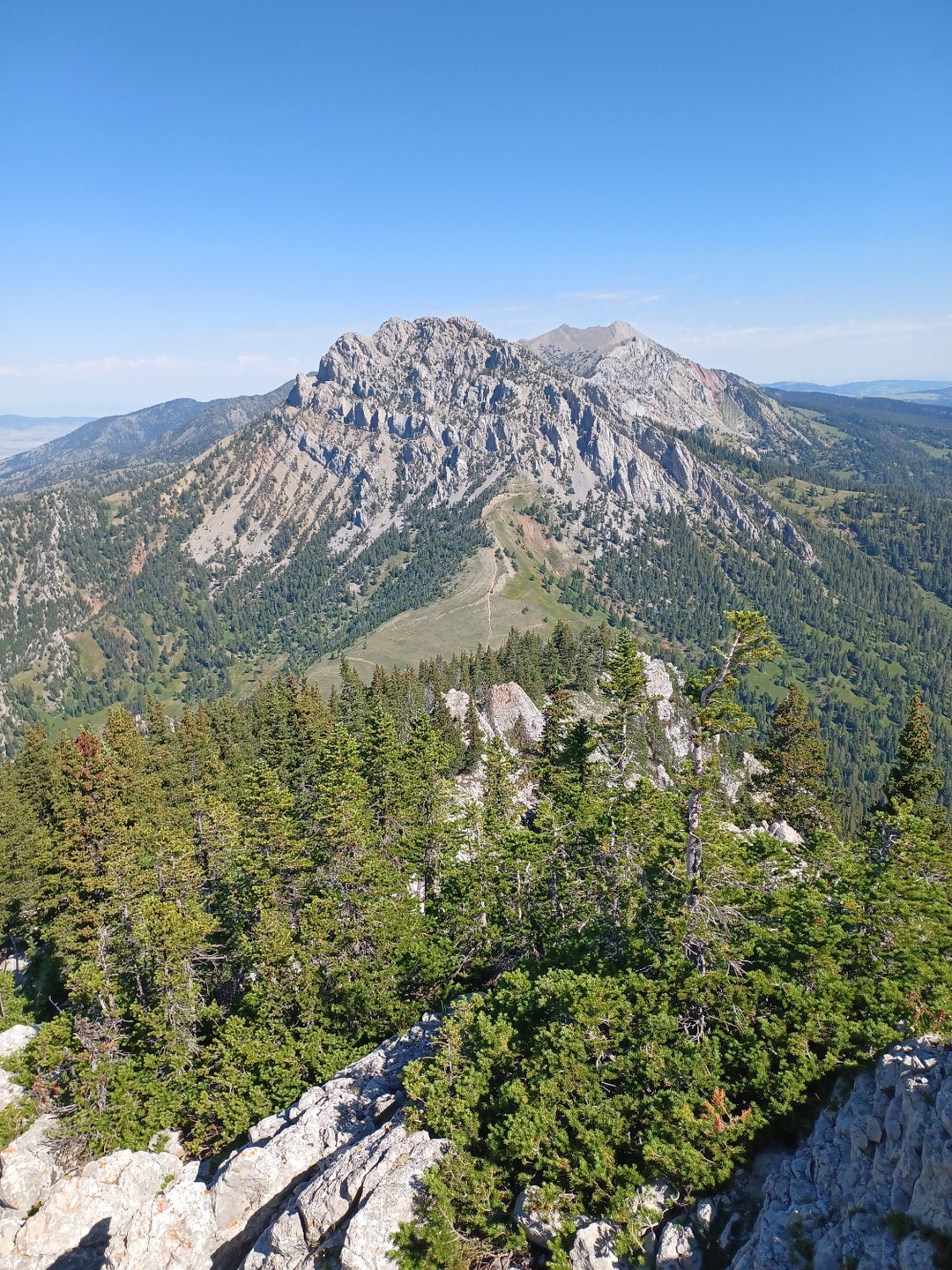Trailblazing Photos: Bridger Ridge Trail; Ross Peak, Montana, USA - Etsy