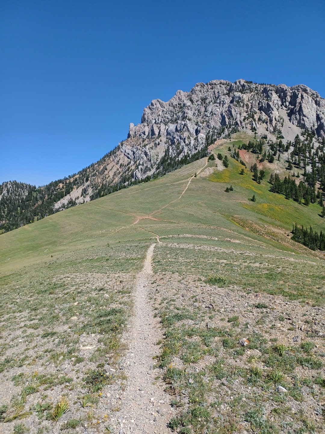 Trailblazing Photos: Bridger Ridge Trail; Ross Pass, Montana, USA - Etsy