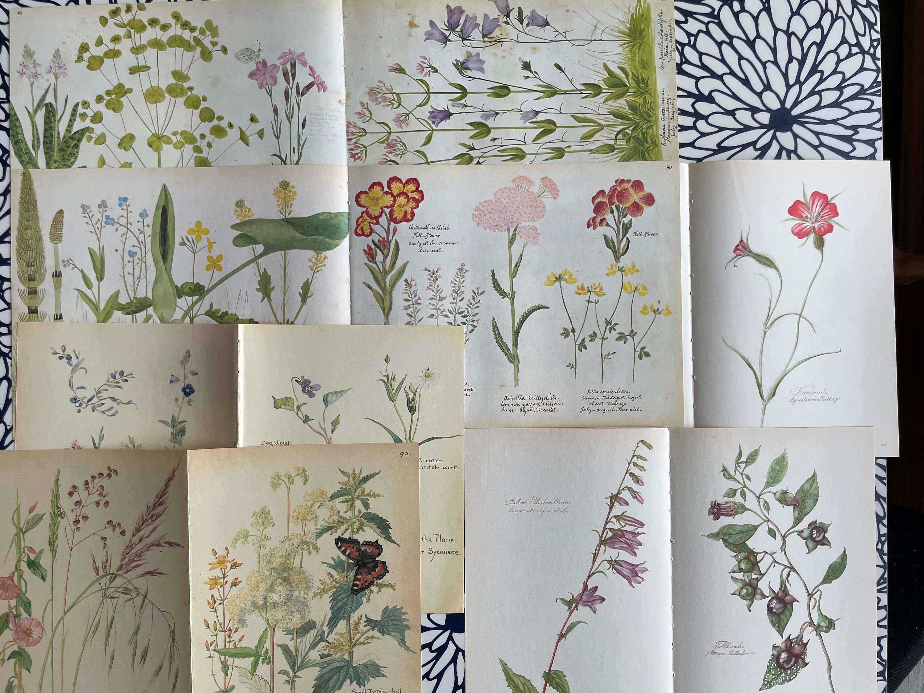 30 Vintage Floral/botanical Book Pages for Junk Journaling - Etsy