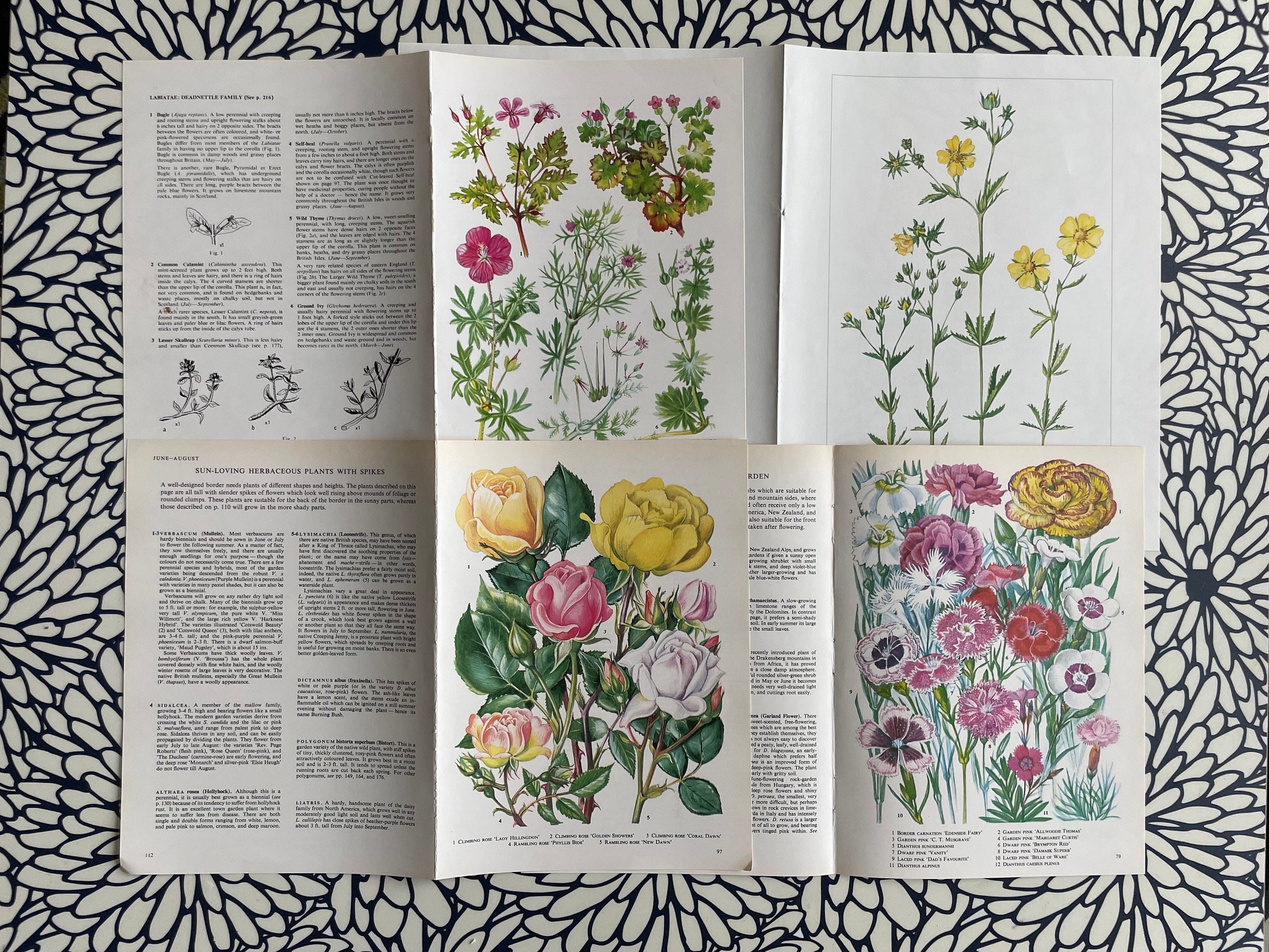 30 Vintage Floral/botanical Book Pages for Junk Journaling - Etsy