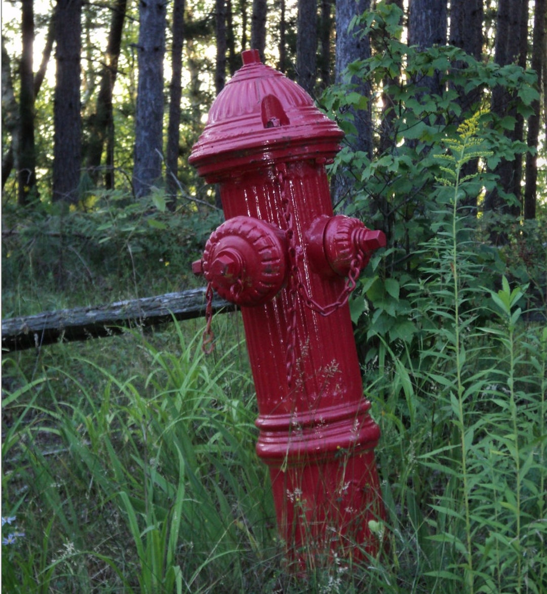 Forest Fire Hydrant Jigsaw Puzzle Puzzle for Adults Christmas - Etsy
