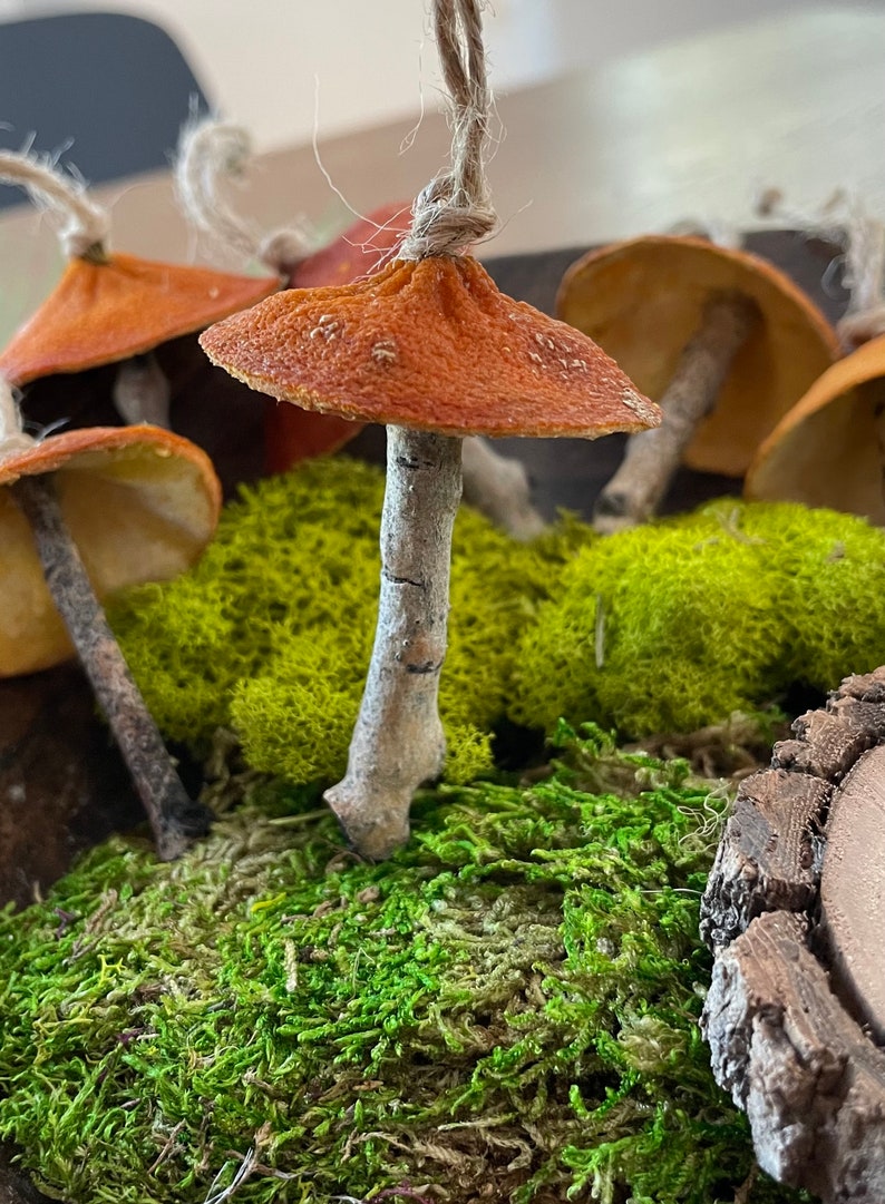 Dried Orange Mushroom Ornaments: Aspen Wood Stems, Set of 6, Citrus ...