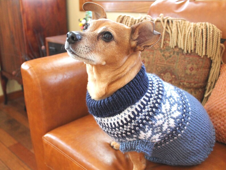 Dog Sweater PATTERN | Nordic Snowflakes Design | Knit Sweater With Fair ...