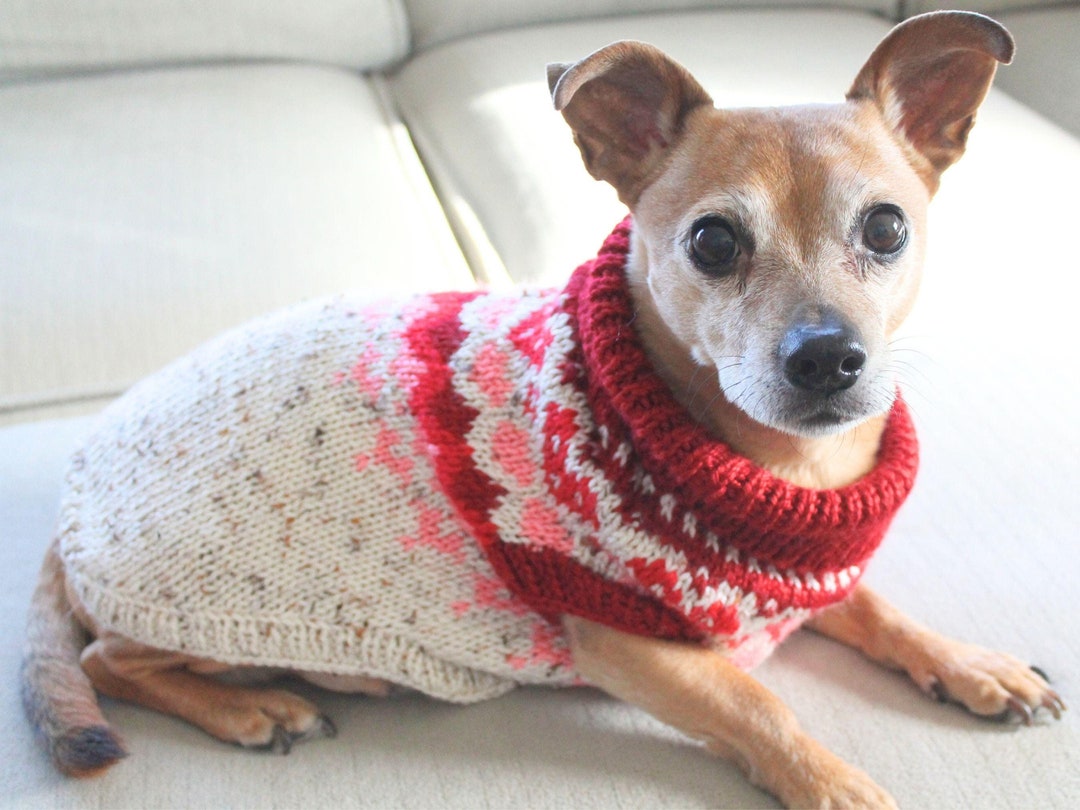 Dog Sweater PATTERN | My Funny Valentine Design | Knit Sweater With ...