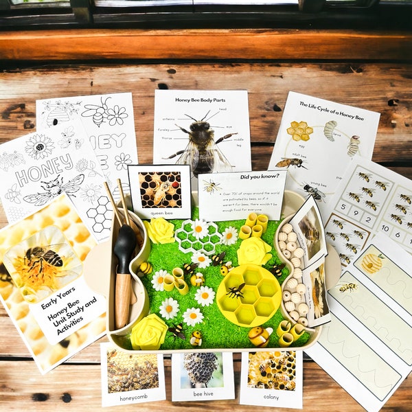 Honey Bee Unit - Etsy