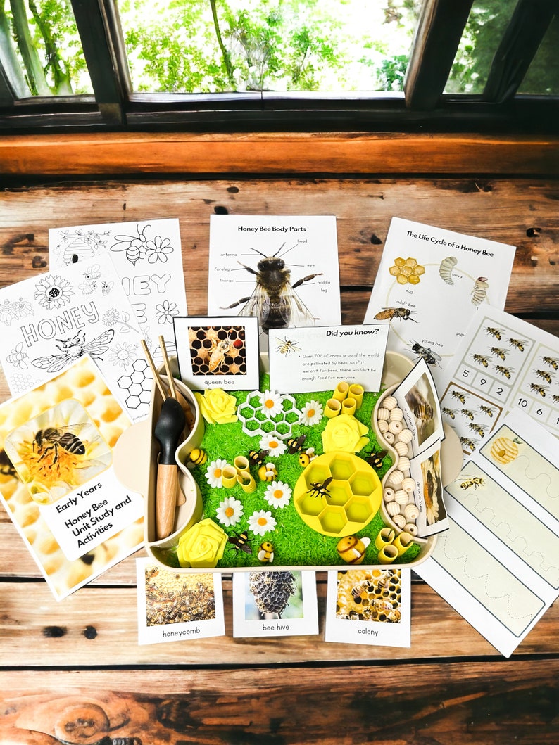 Honey Bee Unit Study and Activities early Childhood - Etsy