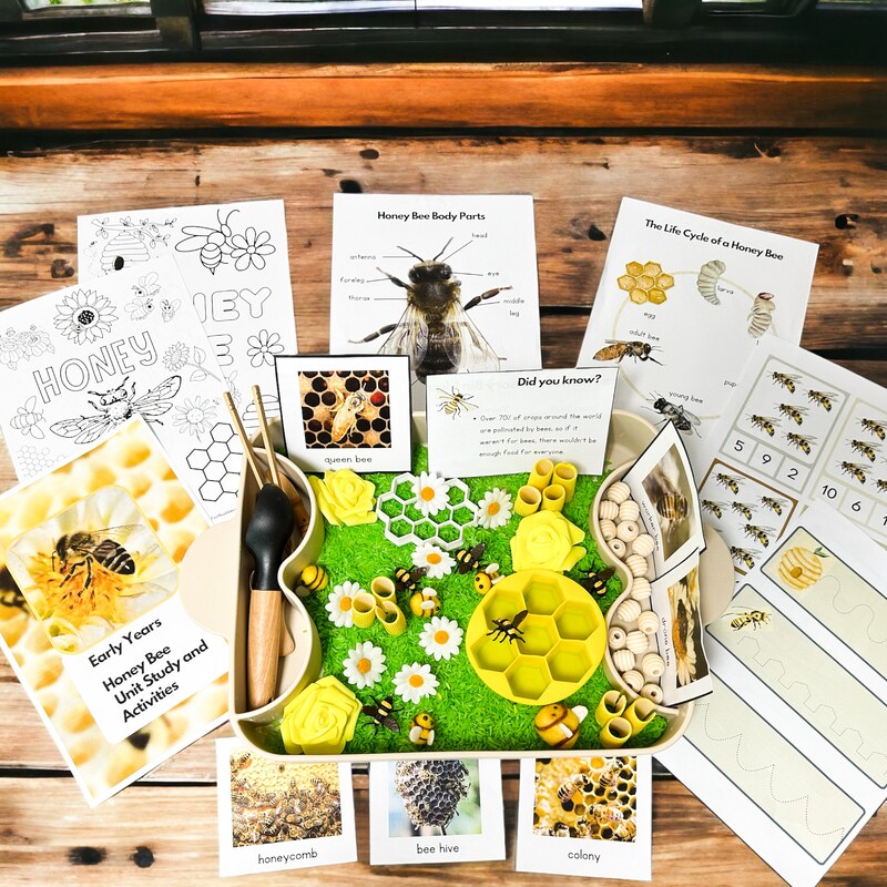 Honey Bee Unit - Etsy