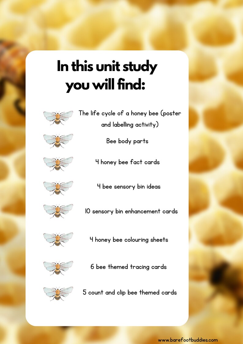 Honey Bee Unit Study and Activities early Childhood - Etsy