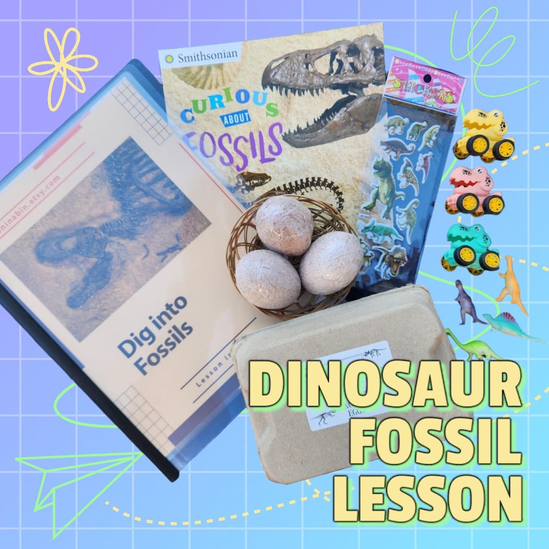 Dinosaur Fossil Homeschool Lesson Bin Hands-on Educational Kit for Kids ...