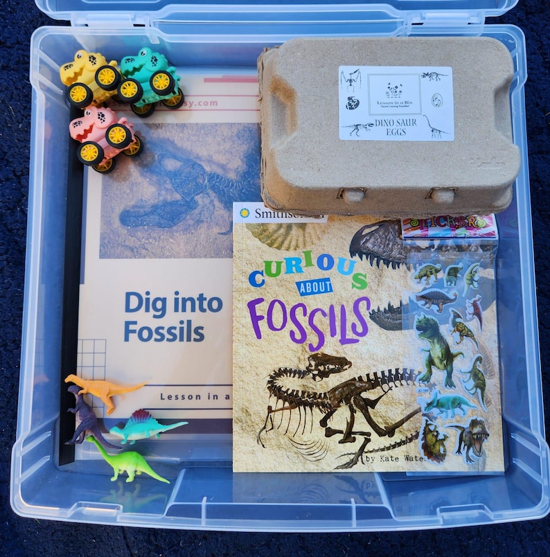 Dinosaur Fossil Homeschool Lesson Bin Hands-on Educational Kit for Kids ...
