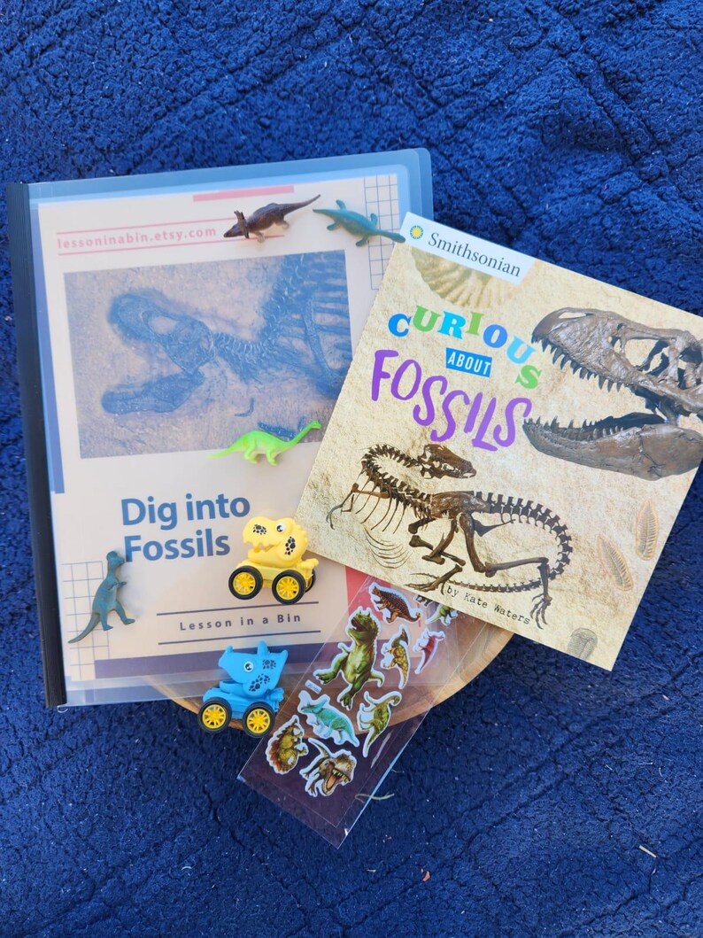 Dinosaur Fossil Homeschool Lesson Bin Hands-on Educational Kit for Kids ...