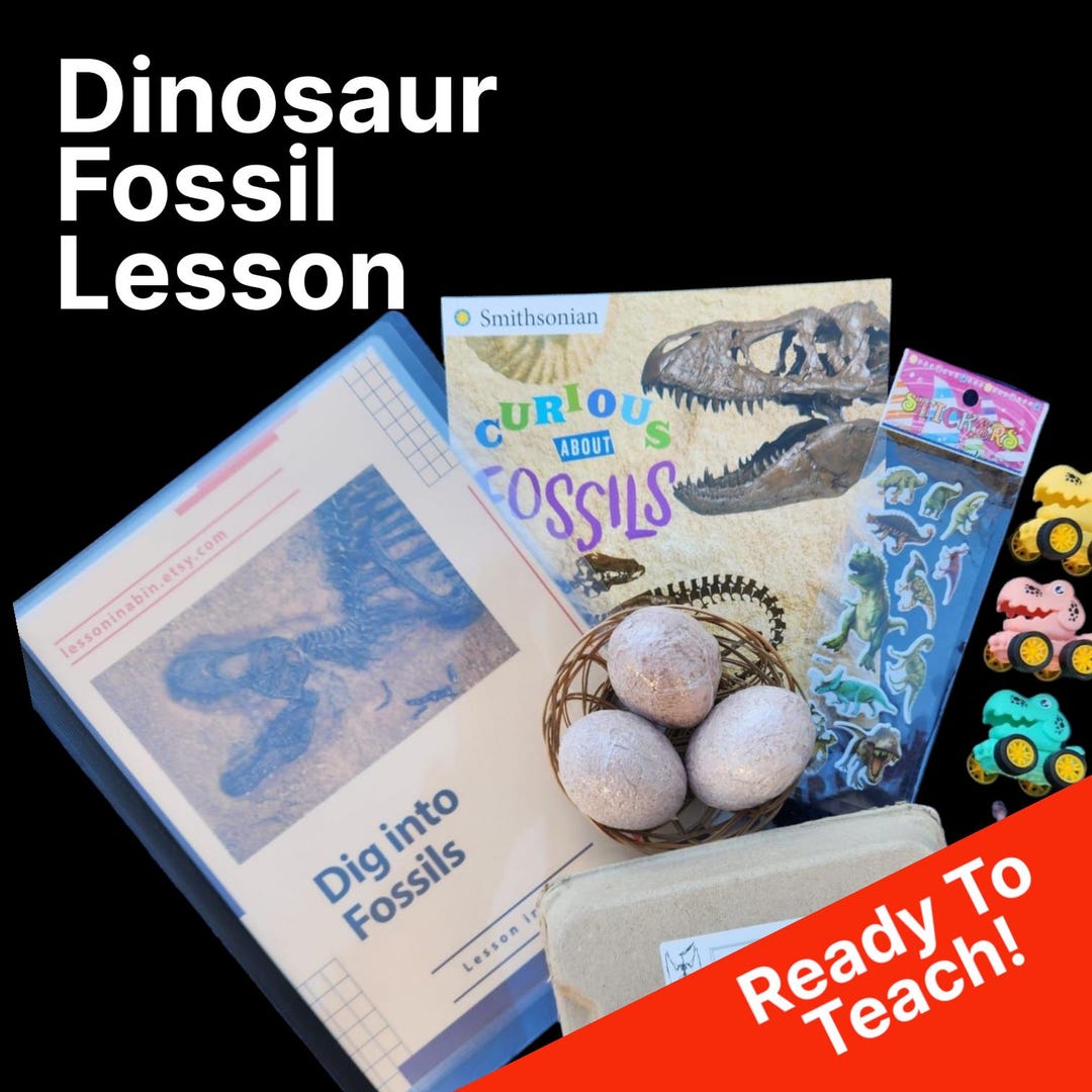 Dinosaur Fossil Homeschool Lesson Bin Hands-on Educational Kit for Kids ...