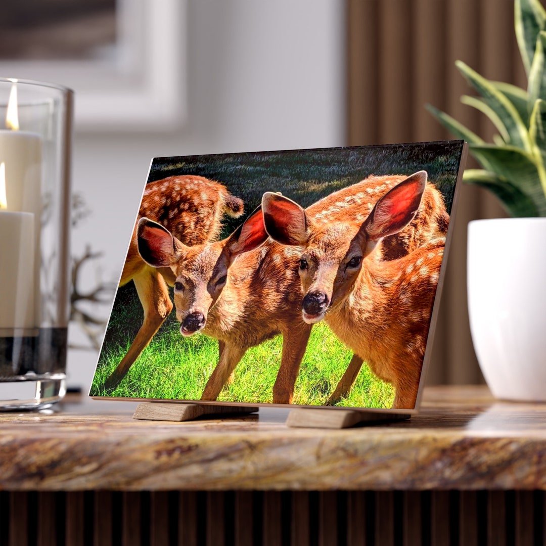 Fawn Twins Ceramic Photo Tile - Etsy