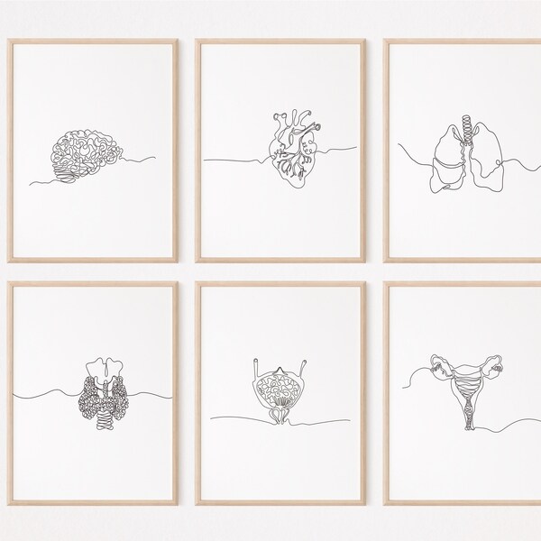 Human Organ Poster - Etsy