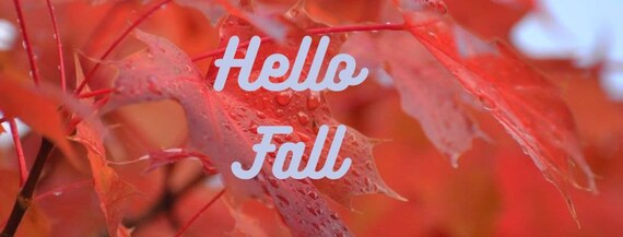 Fall Trees Facebook Cover