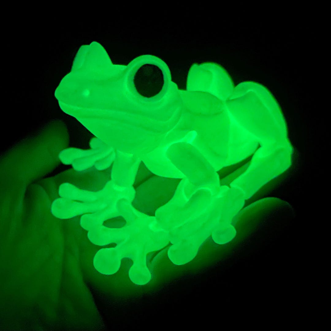 3D Printed Glow-in-the-dark Frog, Handpainted Eyes, Flexible Fidget Toy ...